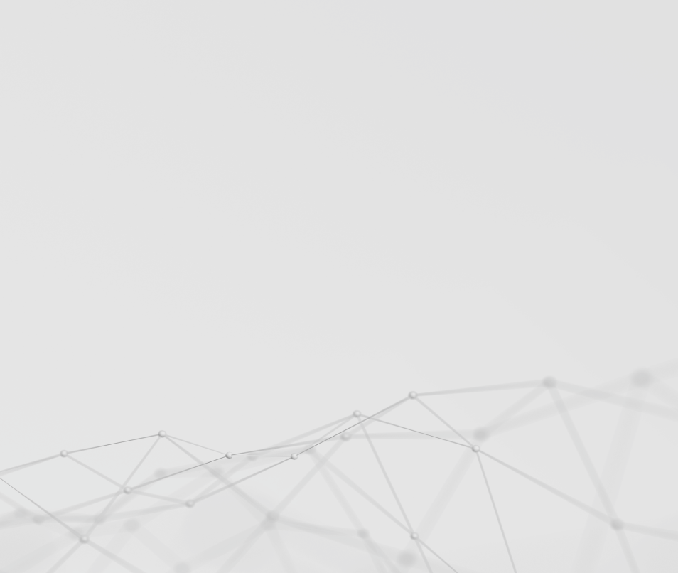 National In-Country Value Program (ICV)